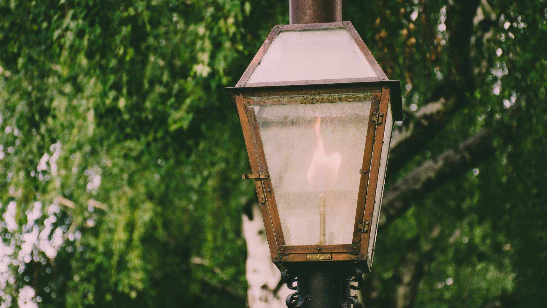 A Comprehensive Guide to the Different Types of Lights - LightscapesTech