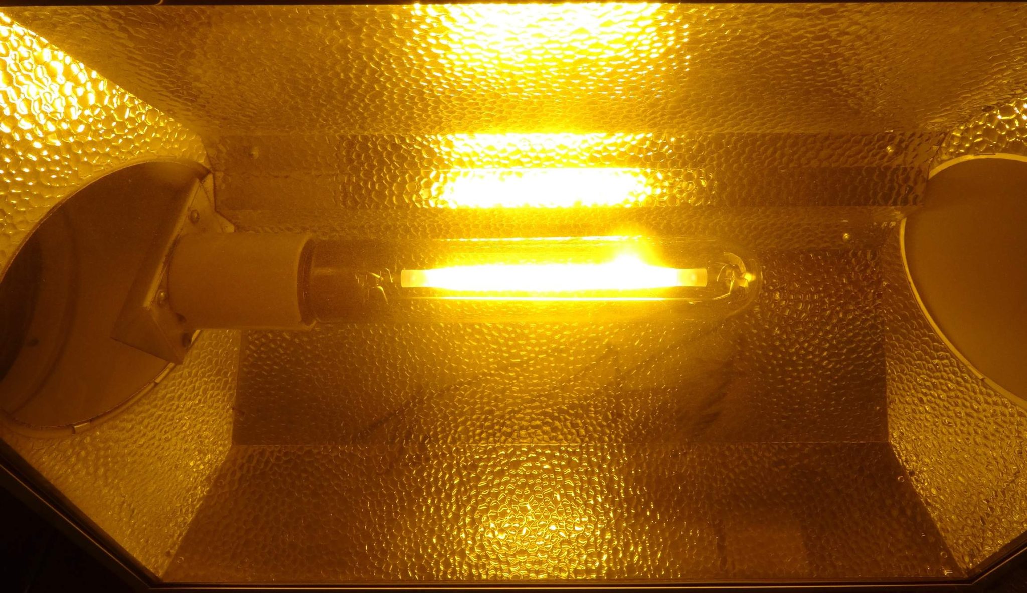 A Comprehensive Guide to the Different Types of Lights - LightscapesTech