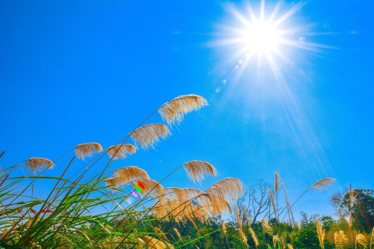 Lighting Choices: Exploring the Different Types of Lighting ...