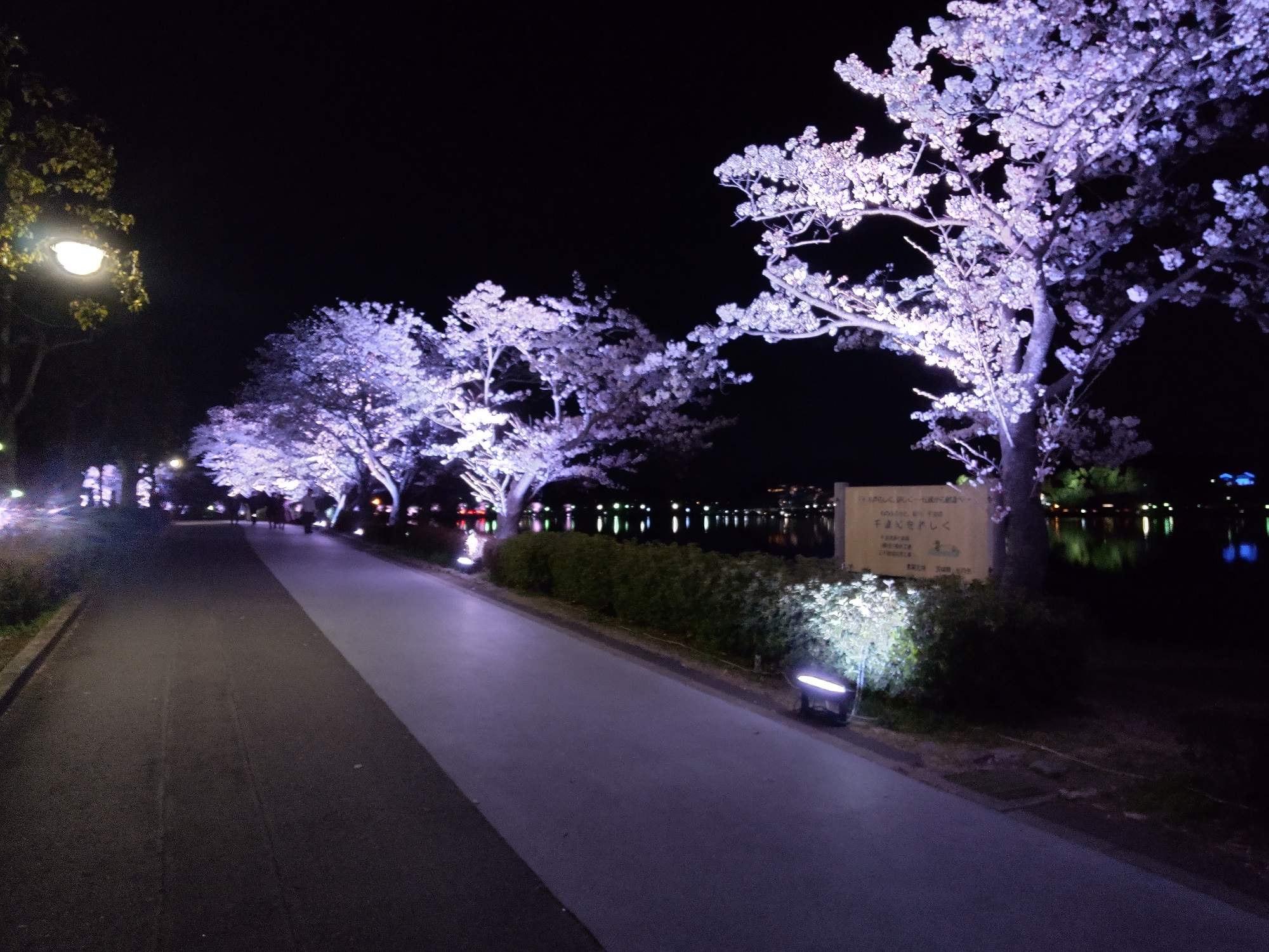 Landscape Uplighting: Highlighting the Beauty of Nature and ...