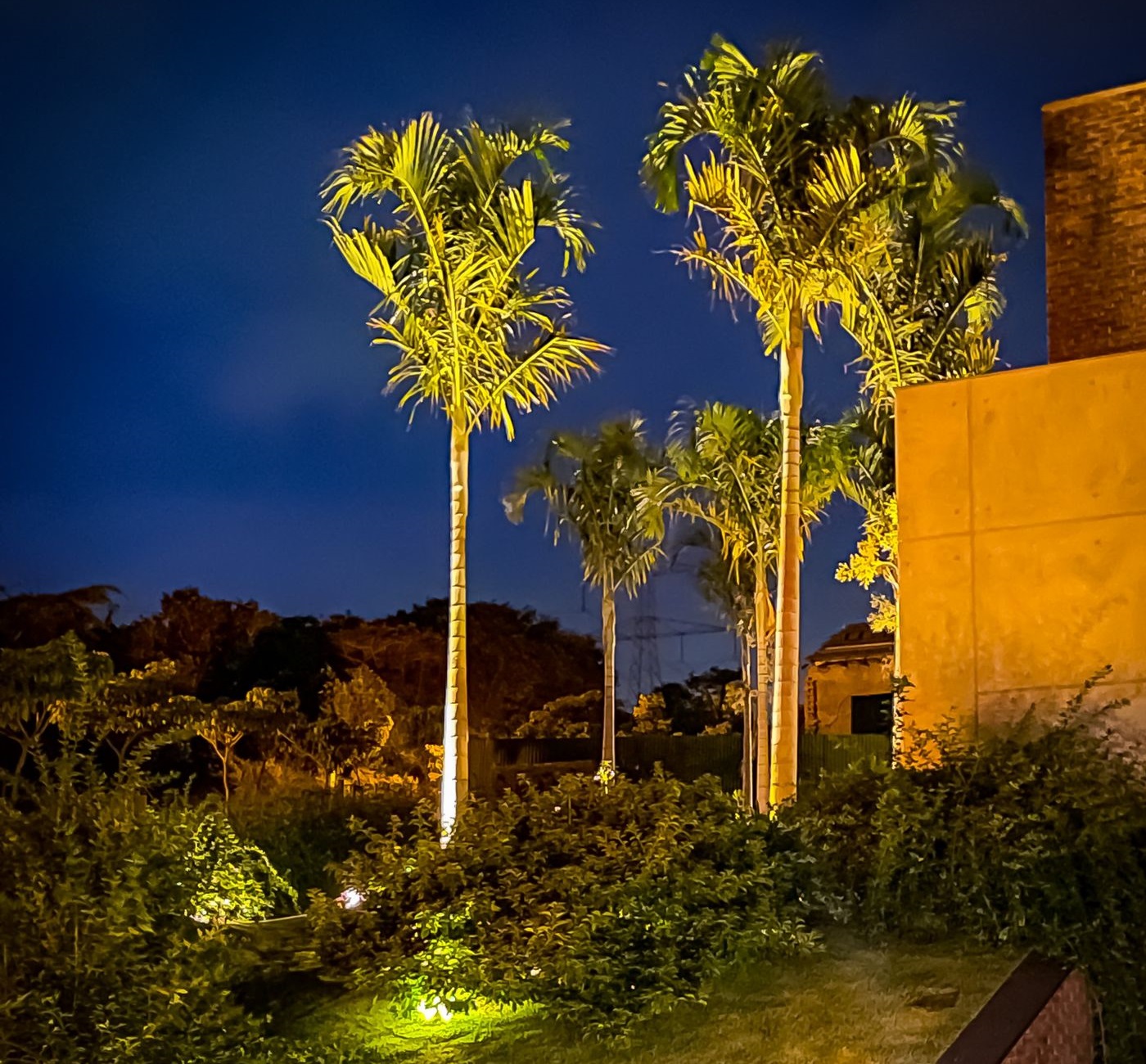 Mastering Landscape Frontlighting for Beautiful and Safe Outdoor Spaces ...