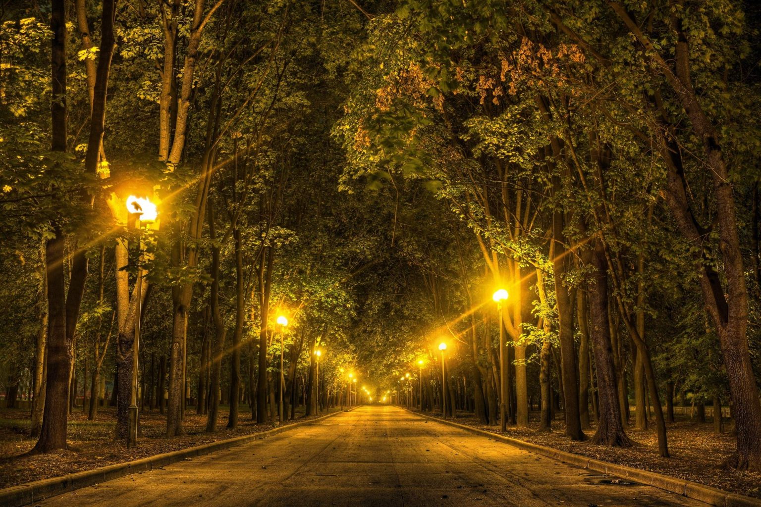 Illuminating the Darkness: A Comprehensive Guide to Landscape Flood ...