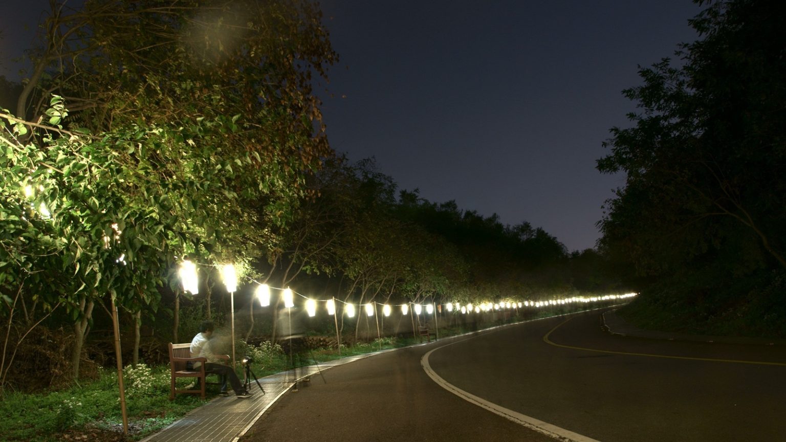 Elevate the Charm of Natural Spaces with Landscape Hanging Lighting ...
