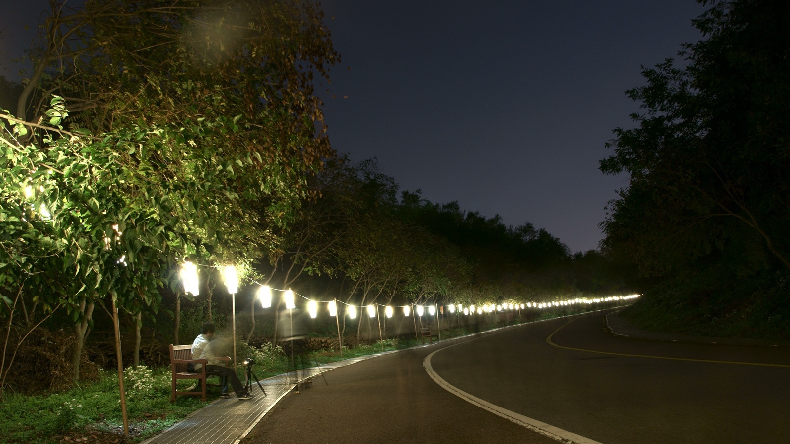 Elevate the Charm of Natural Spaces with Landscape Hanging Lighting ...