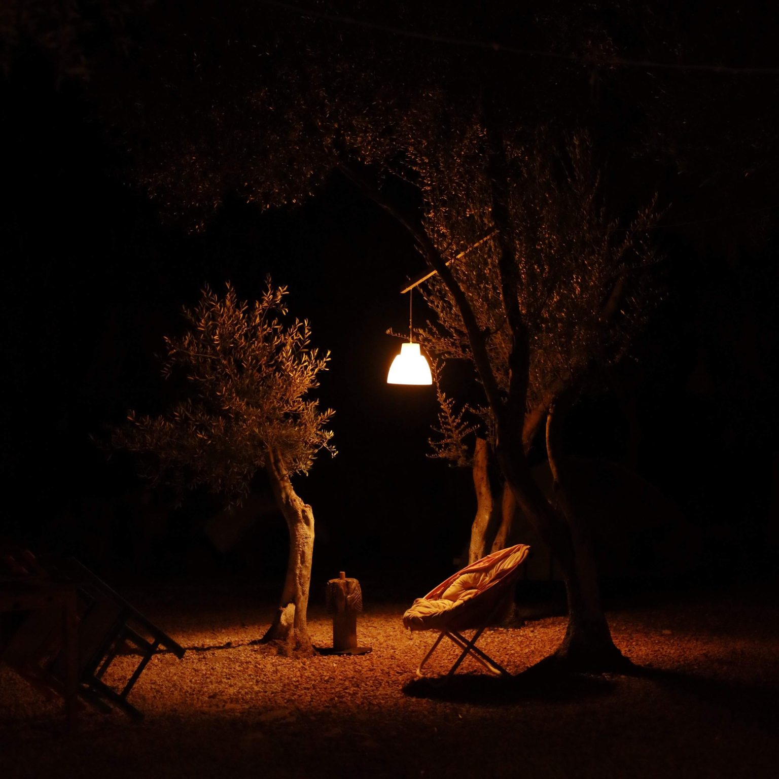 Elevate the Charm of Natural Spaces with Landscape Hanging Lighting ...