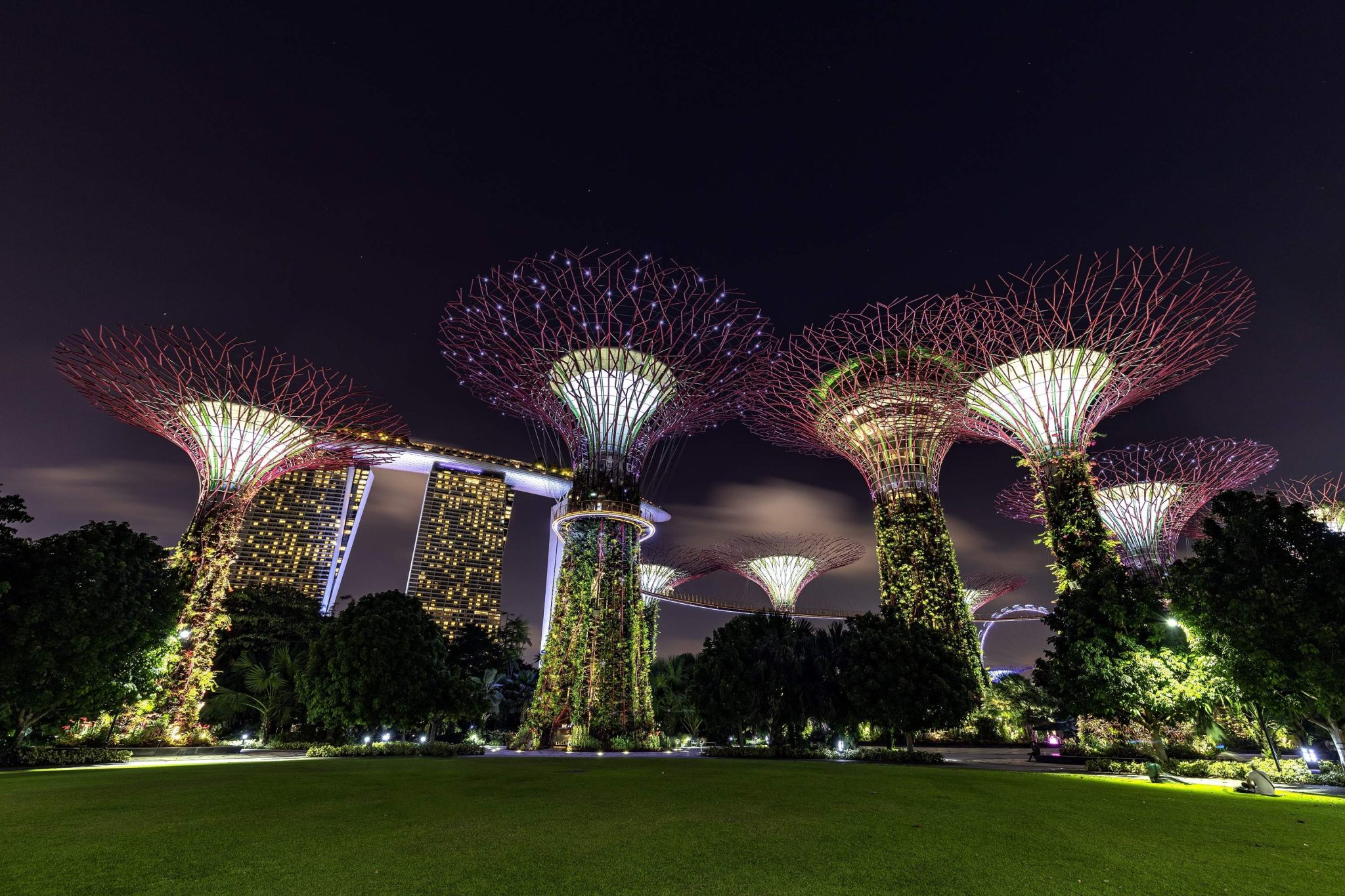 Lighting the Way with the Landscape Pathway and Walkway Lighting Guide ...