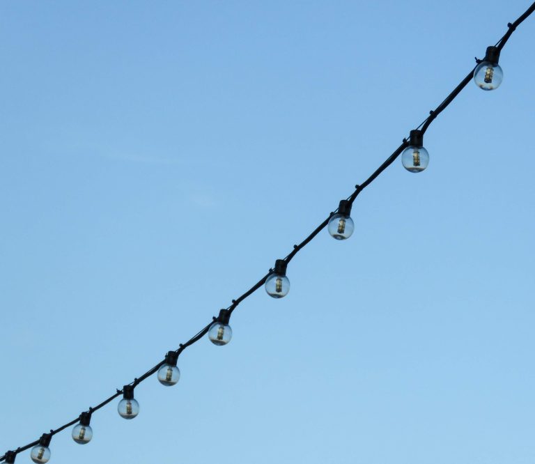 Leading the Standing Nocturnal Symphony with Landscape Cable Lights ...