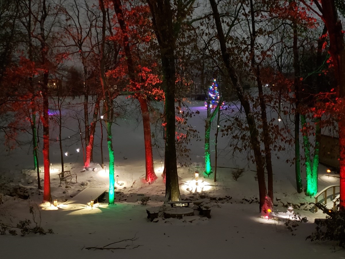 Outdoor Landscape Spot Lighting Guide to Highlighting Architectural and ...