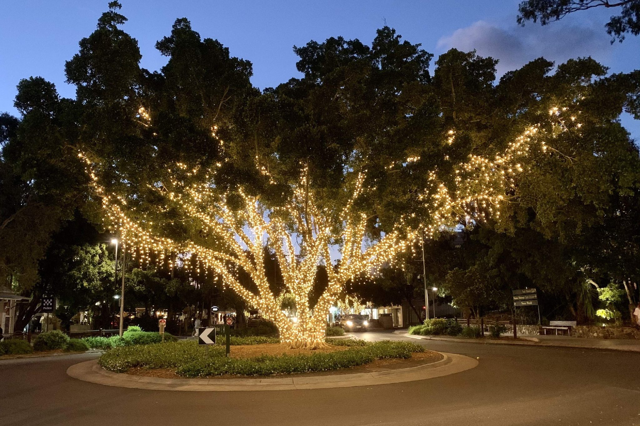 Create a Sparkling Festive Ambiance with Landscape String Lights ...