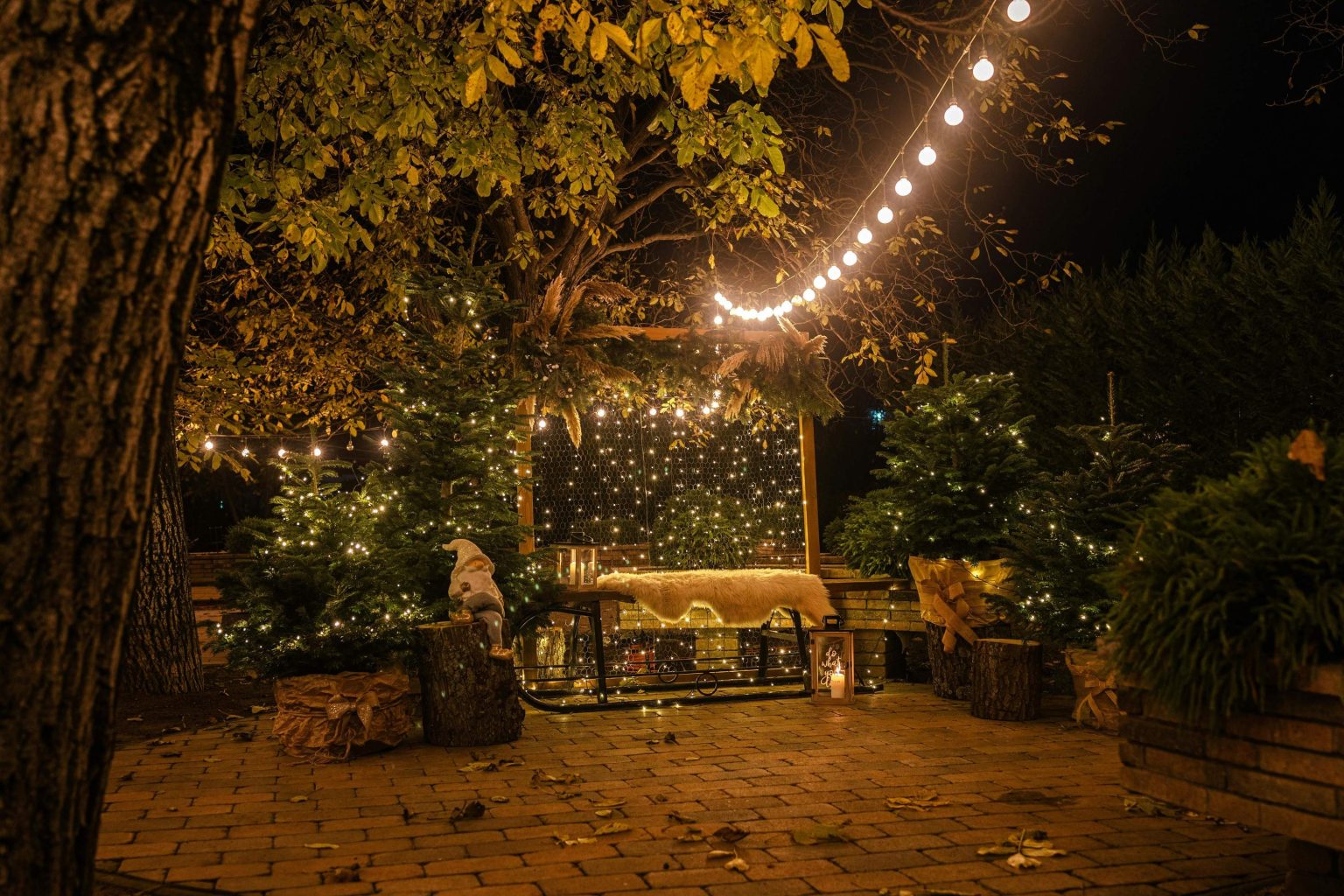 What Is the Difference between String Lights and Fairy Lights ...