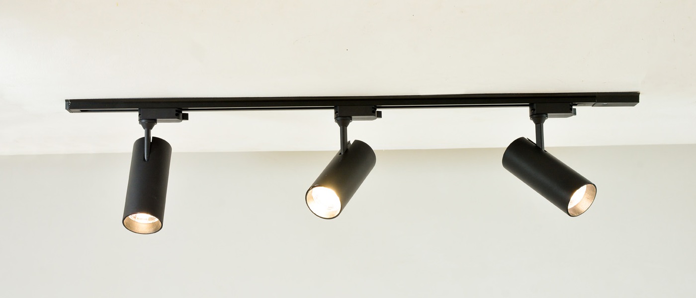 Shedding Light on Outdoor Fixtures using Landscape Track Lights ...