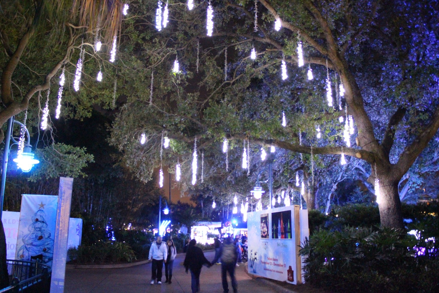 Mastering the Art of Landscape Tree Lighting for Magnificent Luminous ...