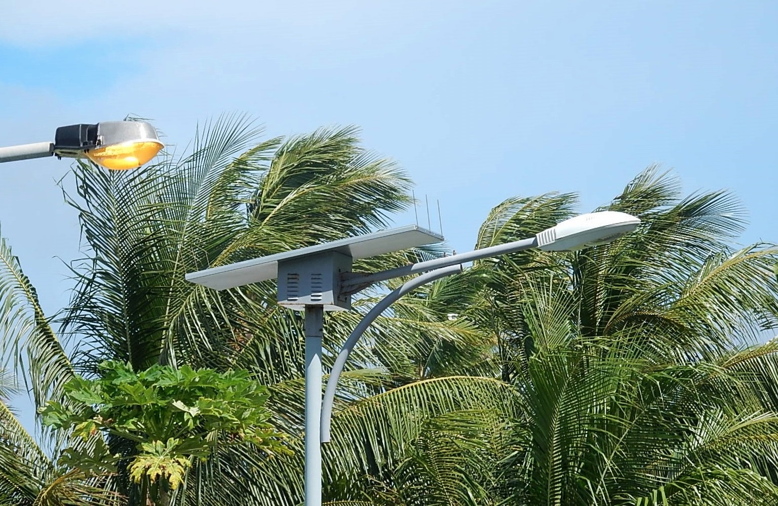 Electrical Surges and LEDs: Can High Voltage Damage LED Lights ...