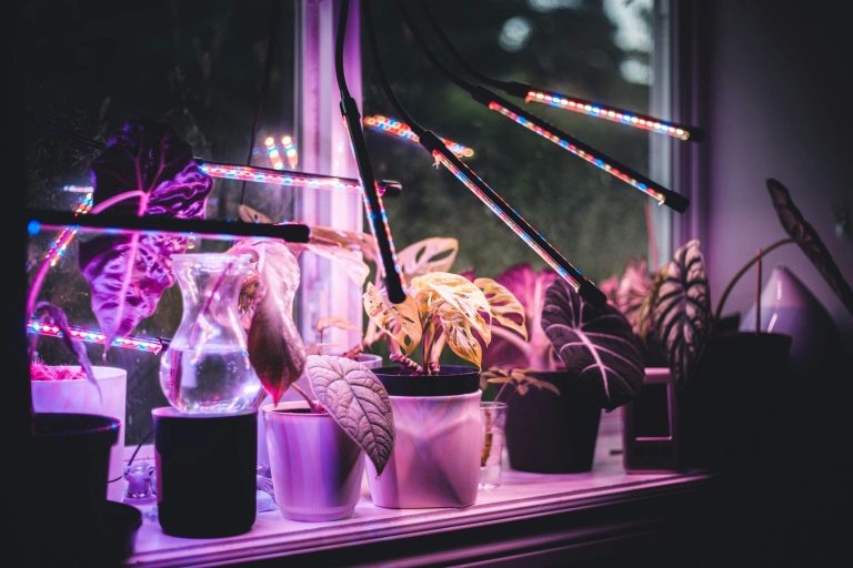 The Ultimate Guide to Modern LED Tube Lights: Efficiency, Longevity and ...