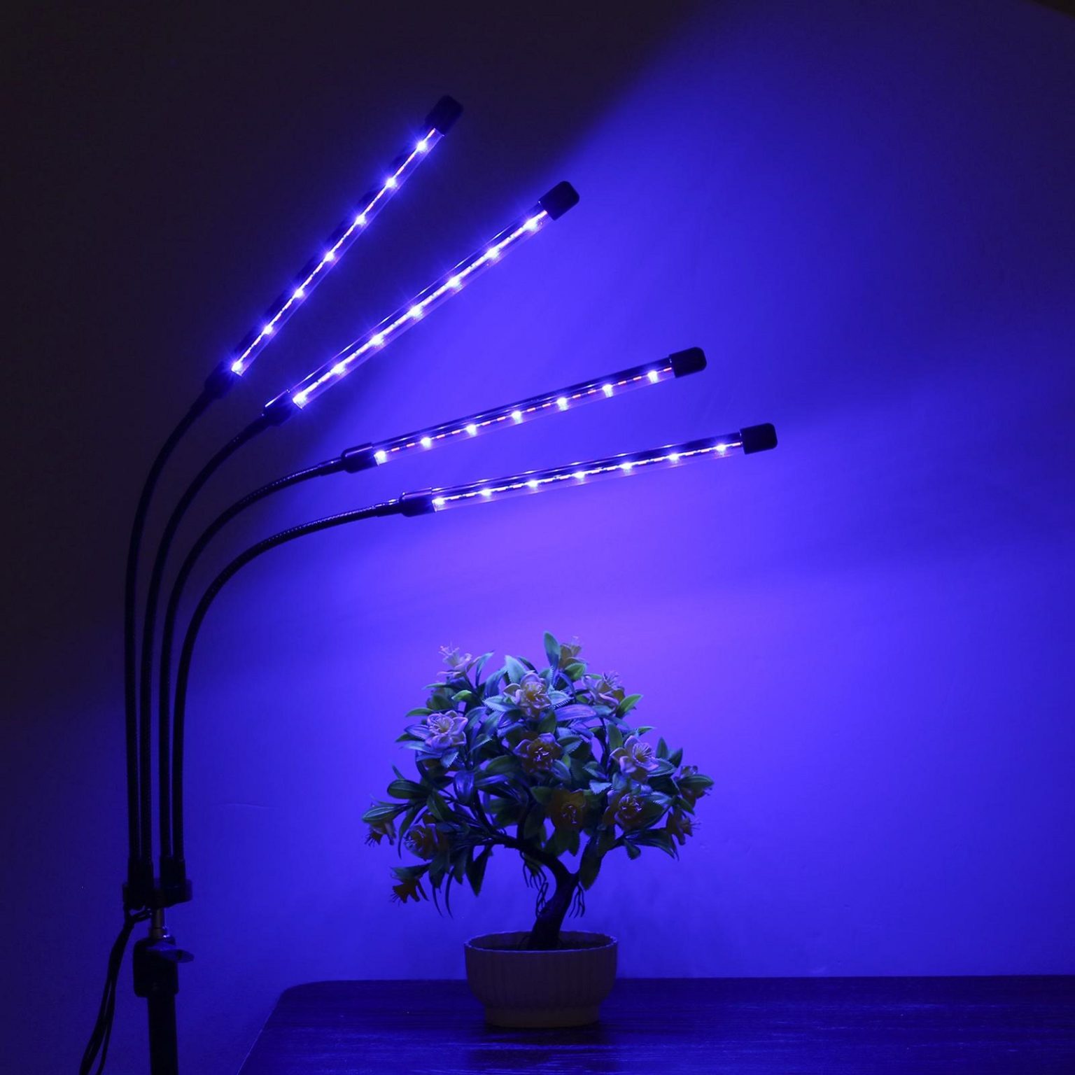 What Color of Light is Best for Night? - LightscapesTech