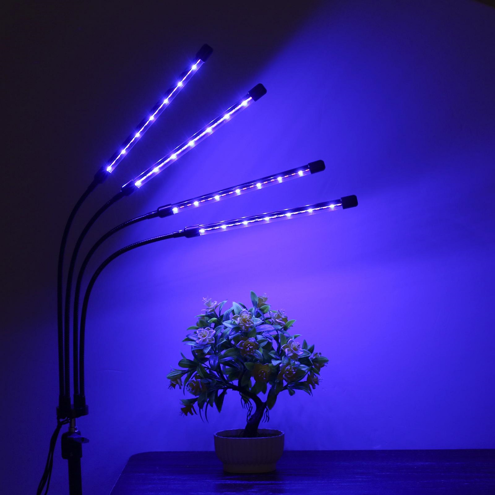 What Color of Light is Best for Night? - LightscapesTech