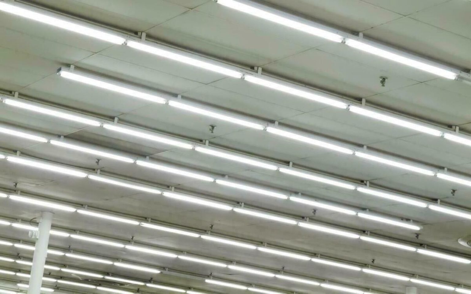 How To Install LED Strip Lights On Ceilings? - LightscapesTech