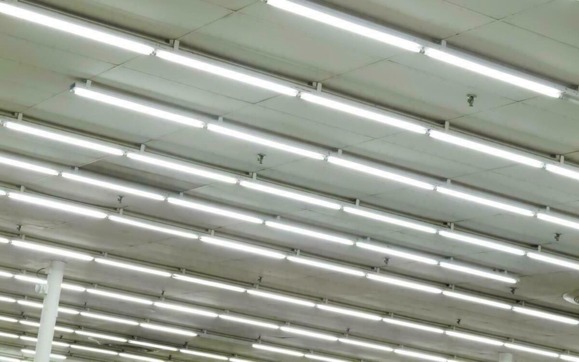 Fundamental Insights: How Do Strip Lights Work? - LightscapesTech